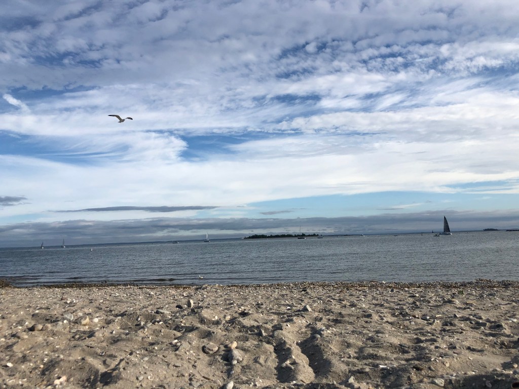 Struggling (Becoming Better) – Coast Confused